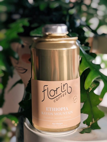 Whole Bean Coffee – Florin Coffee